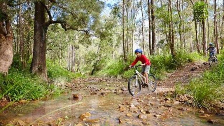 Tablelands Trails - Atherton Tablelands