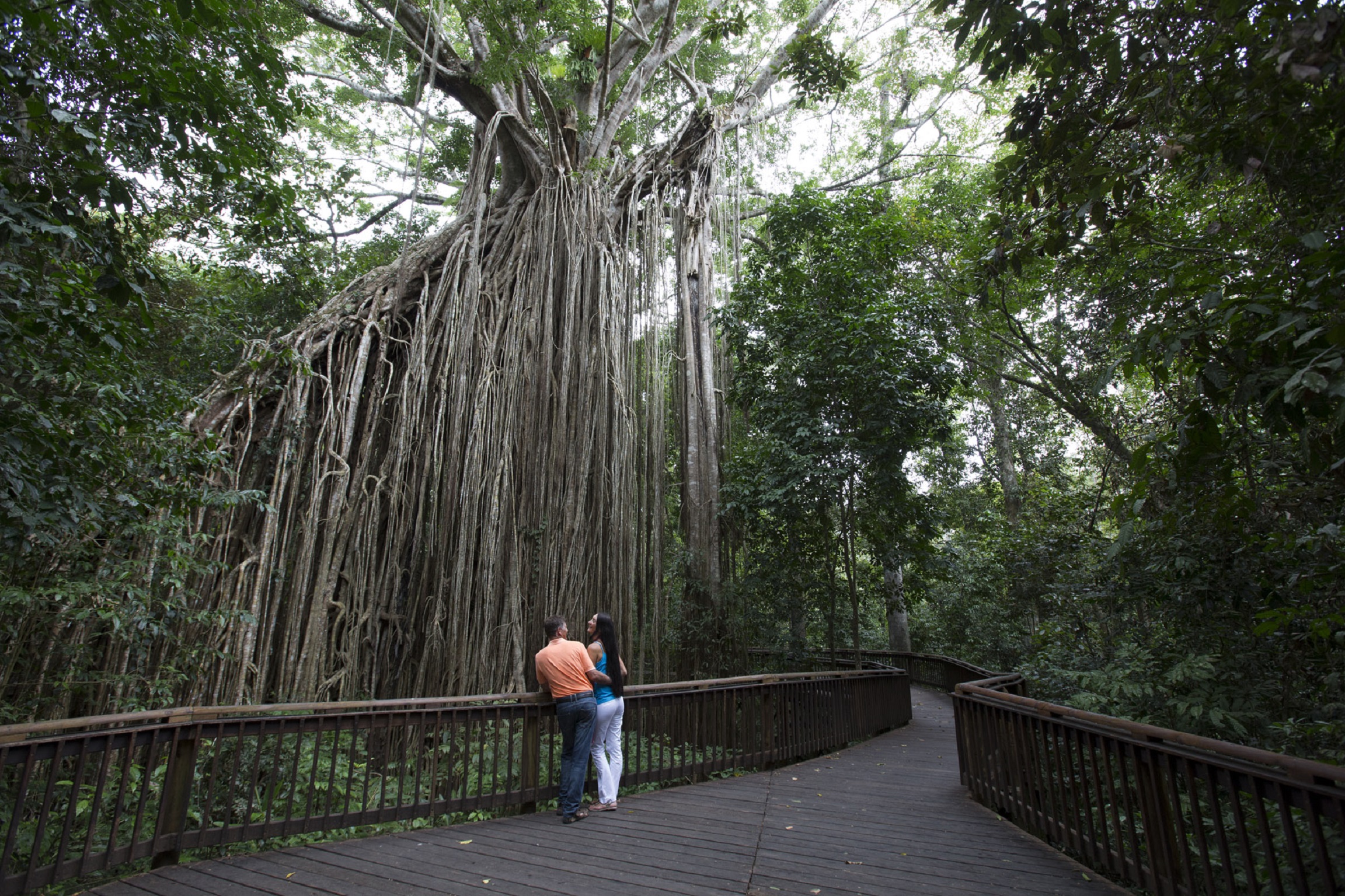 Yungaburra Tours - Atherton Tablelands