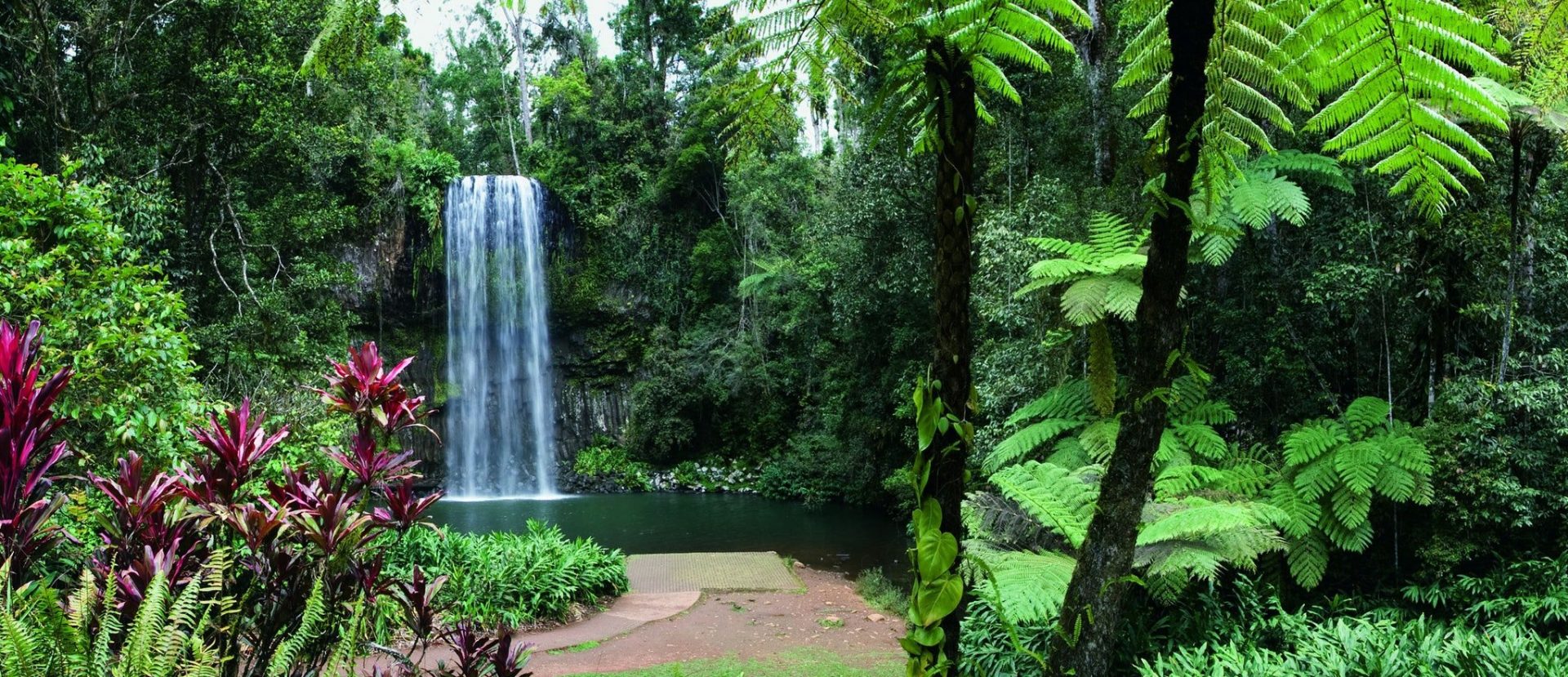 Millaa Millaa Falls, Atherton Tablelands, Tropical North Queensland