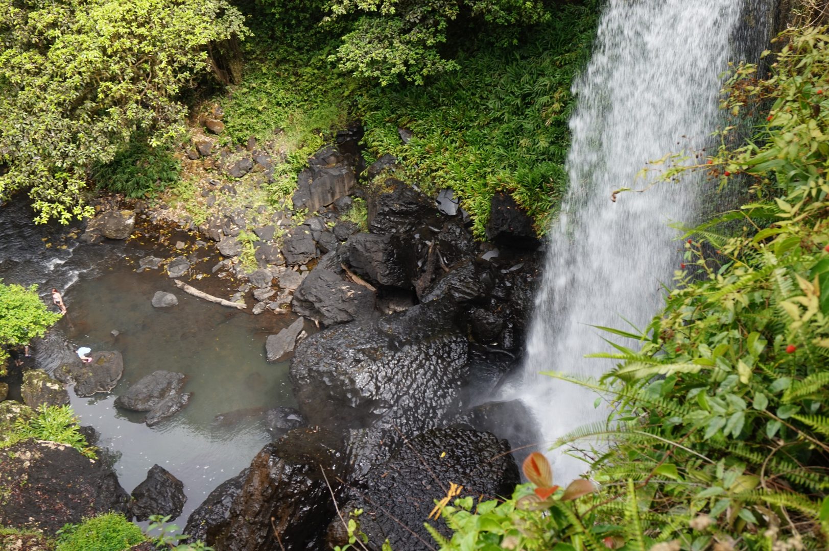 Zillie Falls, Millaa Millaa, Atherton Tablelands, Tropical North QLD