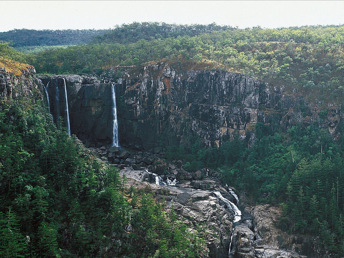 Blencoe Falls - Atherton Tablelands