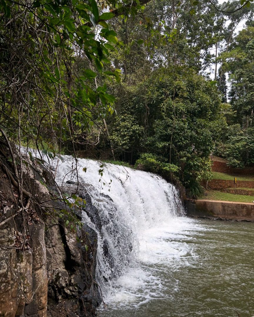 Savannah Way Exploring - Atherton Tablelands